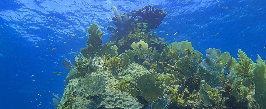 MAR+Invest enters the second Phase! – MAR Fund – Protecting the ...